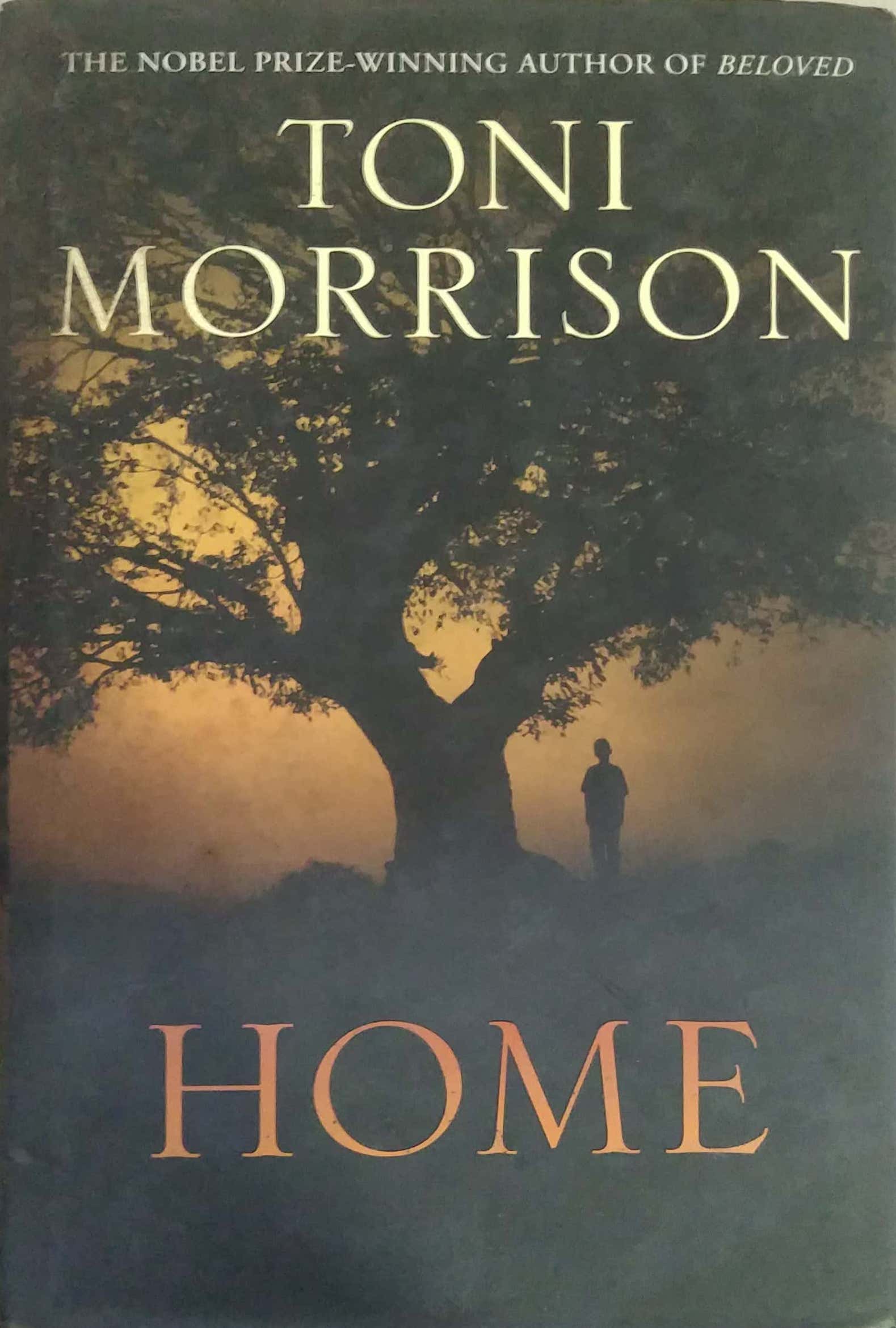 HOME by Toni Morrison – dnyangangabooks